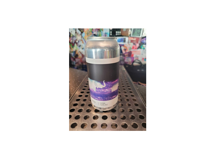 PILS citra - craft beer lab